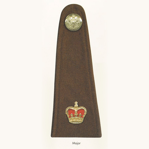 Officers Rank Insignia | British Resistance Archive (staybehinds.com)