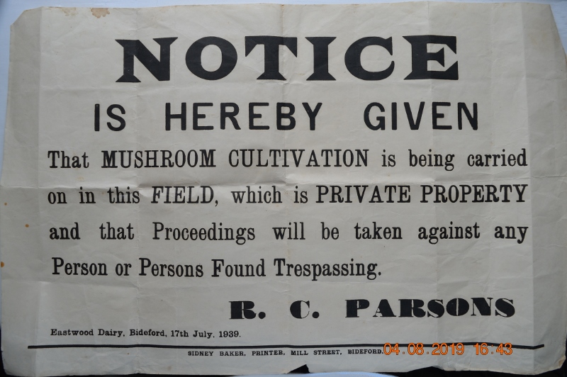 Reginald Chave Parsons | British Resistance Archive (staybehinds.com)